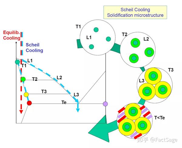 FactSage在钢铁冶金中的应用案例5：Scheil cooling非平衡凝固 - 知乎