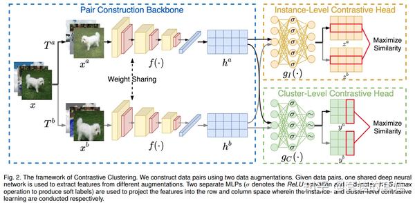 【Deep Clustering】Contrastive Clustering - 知乎