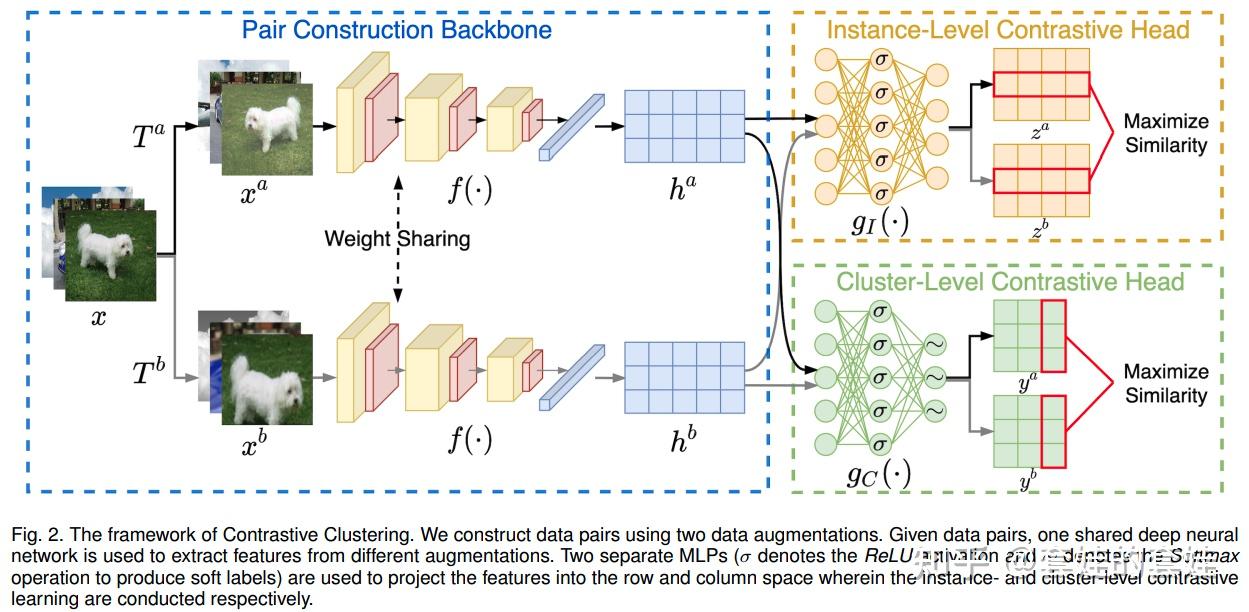 【Deep Clustering】Contrastive Clustering - 知乎