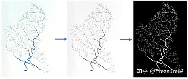 ImageJ实用教程——骨架化分析(定量分析篇) - 知乎