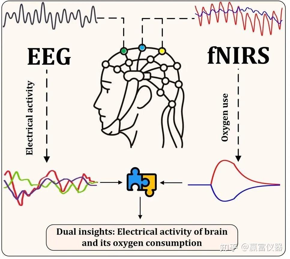 脑部监测的“黄金组合”：功能性近红外光谱（fNIRS）和脑电图（EEG）整合应用 - 知乎