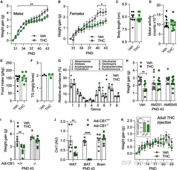 代谢学人——Cell Metabolism：毒品减肥，真的“瘦”了吗？ - 知乎