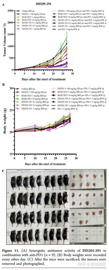 JMC|发现新型用于癌症免疫治疗的高效的、选择性的基于PROTAC的HPK1降解剂 - 知乎