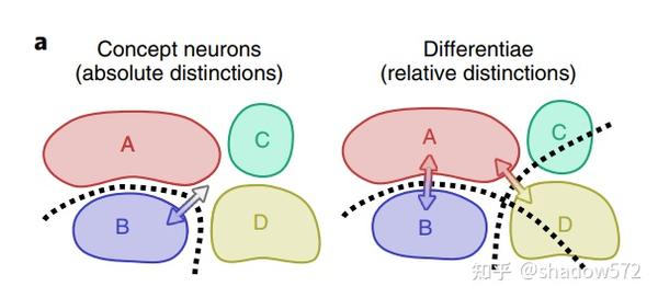 【论文笔记】Explainable neural networks that simulate reasoning - 知乎