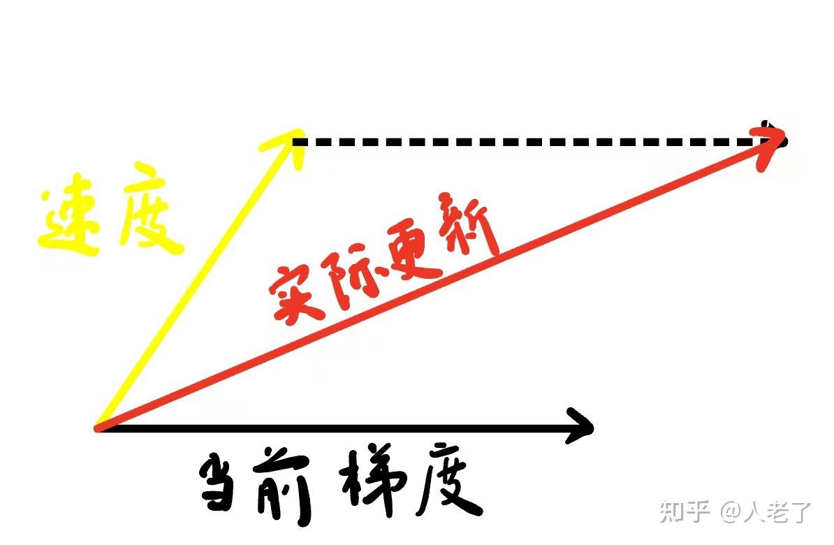 梯度下降优化算法笔记（图文详解 代码实现） 知乎