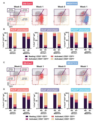 【耀文解读】Science年度突破：呼吸道合胞病毒RSV疫苗临床进展解读 - 知乎