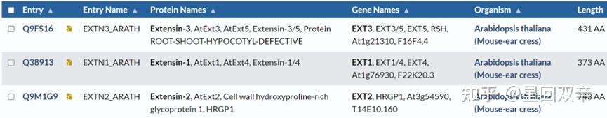植物专题（二）：刚中有柔——伸展蛋白与扩展蛋白（extensin＆expansin）（上：伸展蛋白） - 知乎