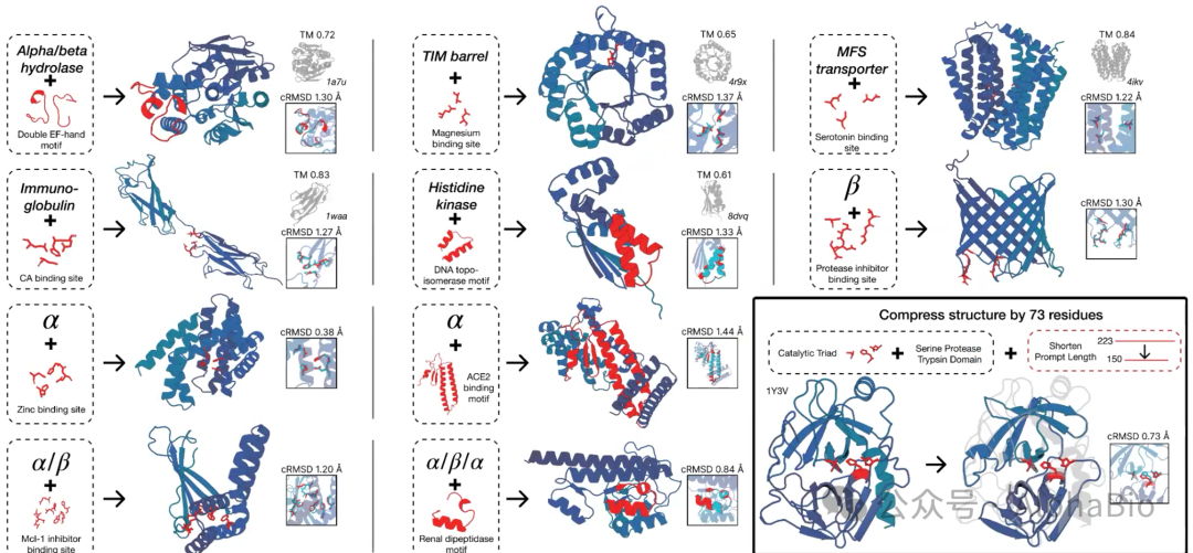 [Protein] ESM3 刨析 - 知乎