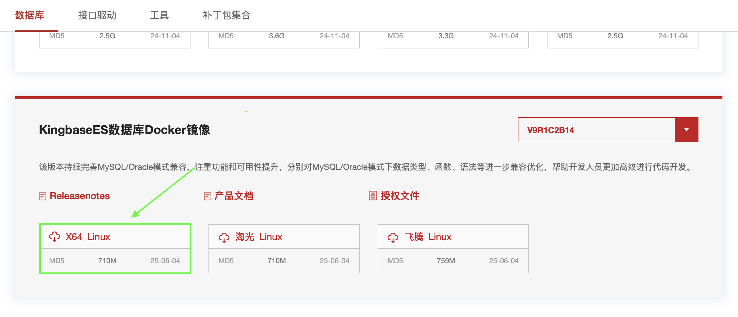 在Mac & Apple Silicon下利用Docker(Orbstack)启动金仓KingBase并连接至DataGrip - 知乎