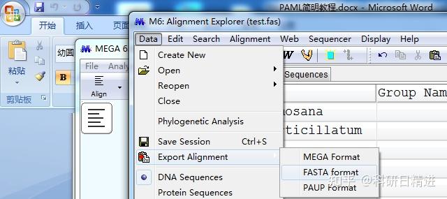 实用干货教程！学会用PAML计算选择压力 - 知乎