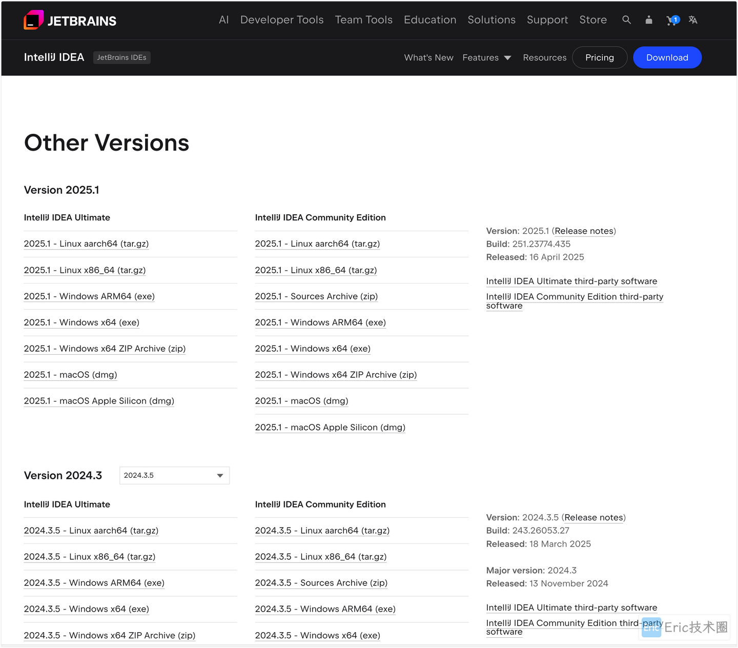 IntelliJ IDEA 中 Junie AI 初体验 - 知乎