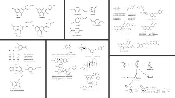 香精与香料(136)—小茴香(Fennel) - 知乎