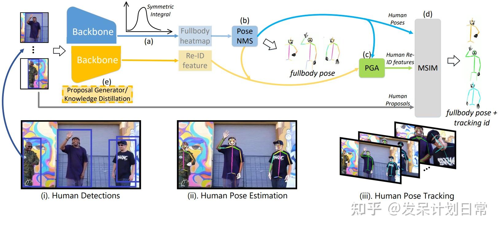[AlphaPose] Whole-Body Regional Multi-Person Pose Estimation and Tracking in Real-Time (论文详读) - 知乎