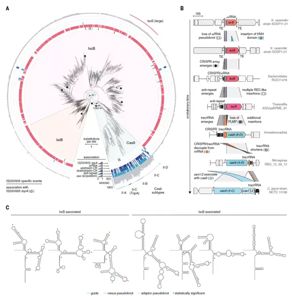 Science | 张峰：利用RNA来定位DNA位置的蛋白的数量和种类可能远超想象 - 知乎