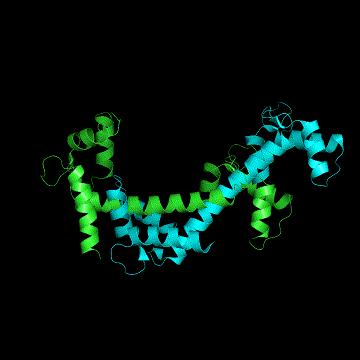 Pymol_movie - 知乎