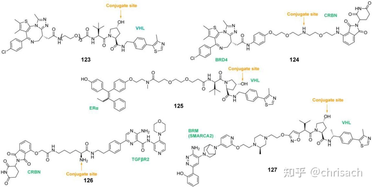 ADC药物Payload详解 - 知乎