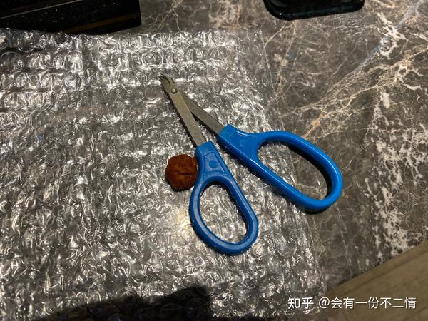 史上最详细记录自己割包皮的全过程20220816 知乎