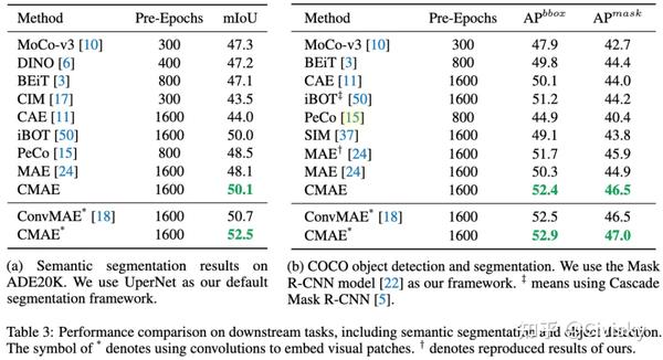 CMAE：对比掩码自编码器是更强大的视觉学习者(速读版) - 知乎
