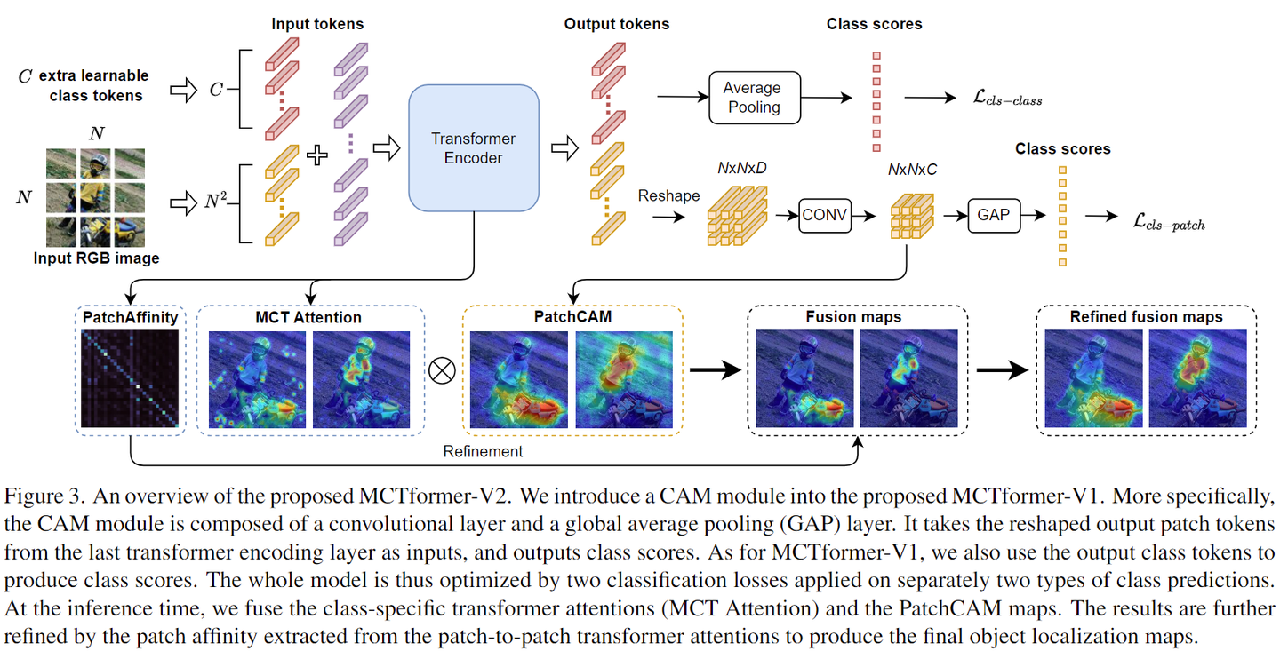 【论文阅读】《Multi-class Token Transformer for Weakly Supervised Semantic Segmentation(CVPR2022)》 - 知乎