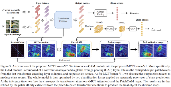 【论文阅读】《Multi-class Token Transformer for Weakly Supervised Semantic Segmentation(CVPR2022)》 - 知乎
