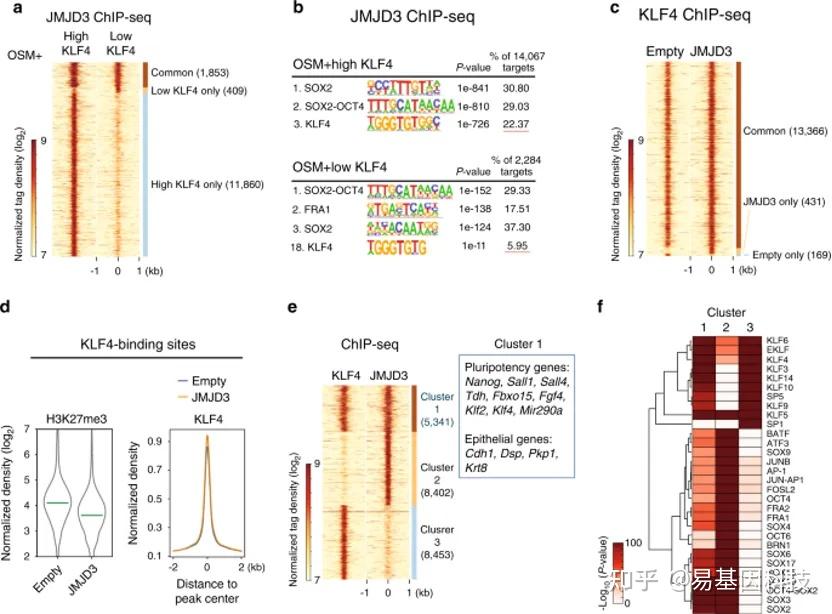 DNA与蛋白质互作及染色质开放性研究方案（ChIP-seq、CUT&Tag、ATAC-seq） - 知乎