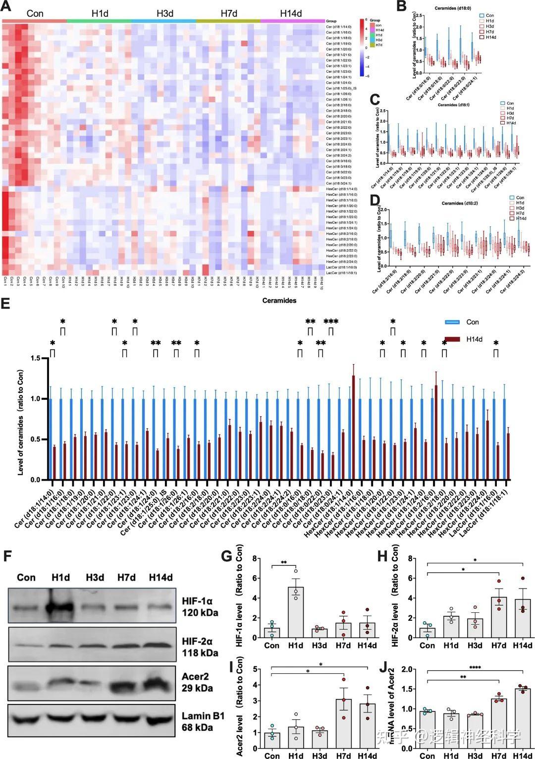 Cell Death Discov︱吉训明团队揭示慢性低氧是诱导α-突触核蛋白病理的新机制 - 知乎