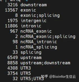 重测序分析（7）SNP INDEL 注释 - 知乎