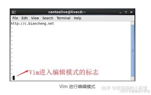 vim 12种模式的切换、常用命令集合 - 知乎