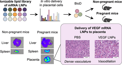 《Science》等众多期刊报道探索mRNA-LNP递送疗法 - 知乎
