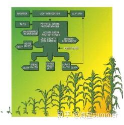 【农业生产模拟】WOFOST模型与PCSE模型实践 - 知乎