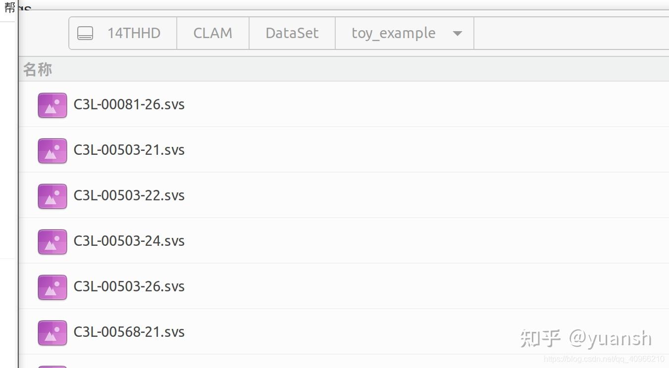 CLAM: A Deep-Learning-based Pipeline for Data Efficient and Weakly Supervised Whole-Slide-level ...