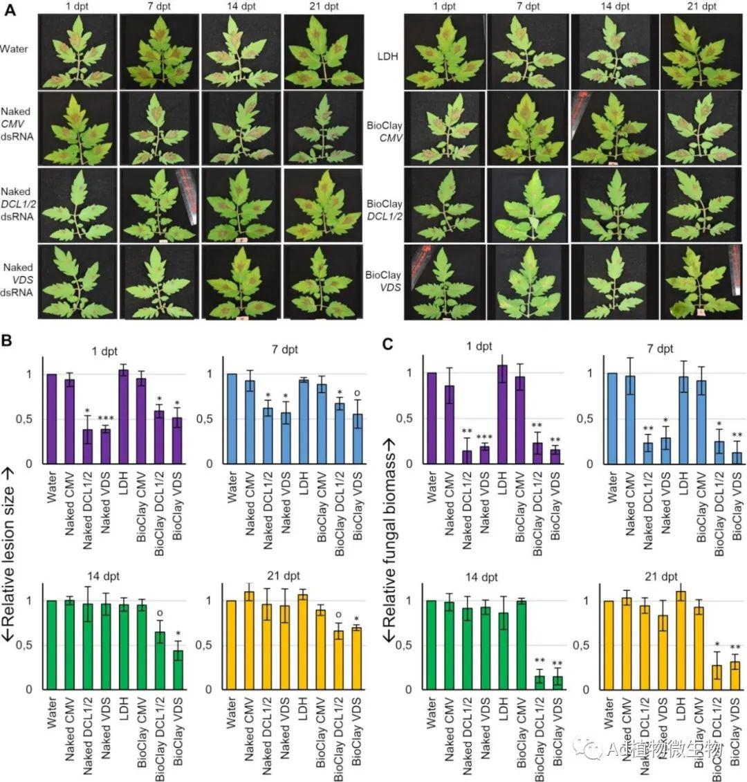 JIPB | 金海翎团队研究揭示延长作物对病原菌抗性的RNA干扰方法！ - 知乎