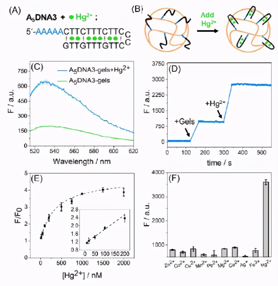 滑铁卢大学刘珏文《Angew》无修饰DNA的冷冻辅助偶联纳米凝胶，传感DNA和汞离子 - 知乎