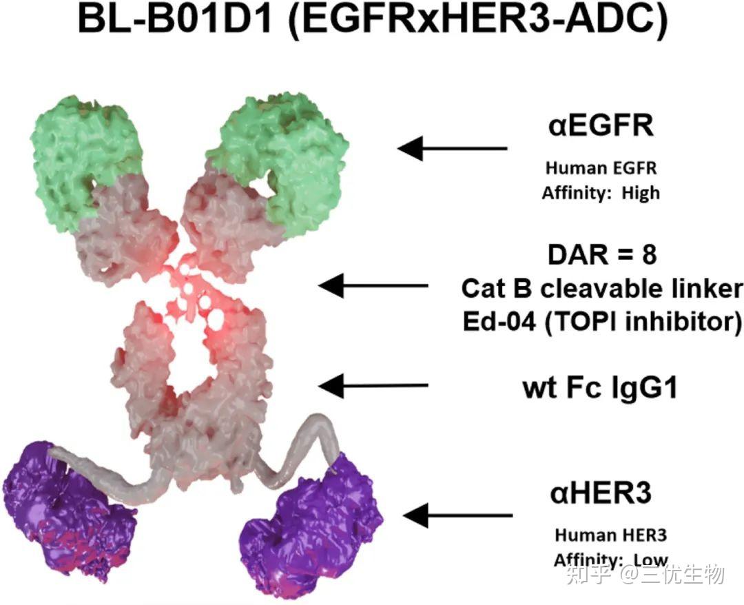 三优药讯｜ASCO23重大ADC临床结果解读（国产篇） - 知乎