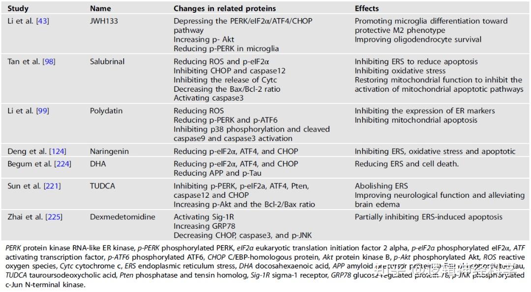 Cell Death Dis 综述︱苏州大学附属第一医院王中团队评述内质网应激和未折叠蛋白反应在创伤性脑损伤进展过程中的调节作用 - 知乎