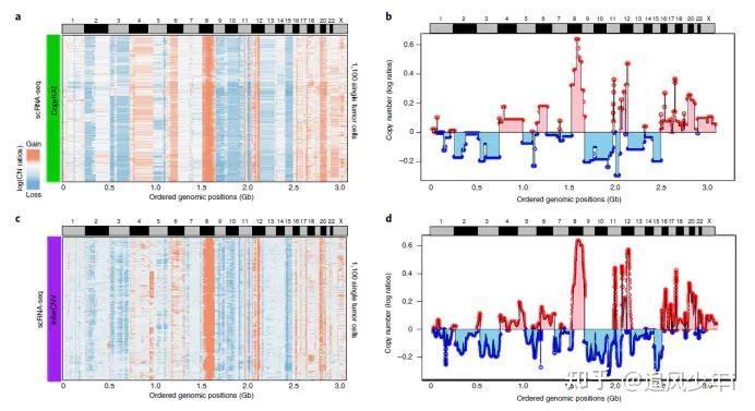 10X单细胞个性化分析之CNV篇 - 知乎