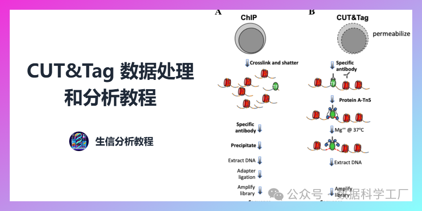 CUT&Tag 数据处理和分析教程（1） - 知乎