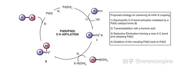 笔记《C-H activation》 Pd-Catalyzed C–H Bond Functionalization on the Indole and Pyrrole Nucle - 知乎
