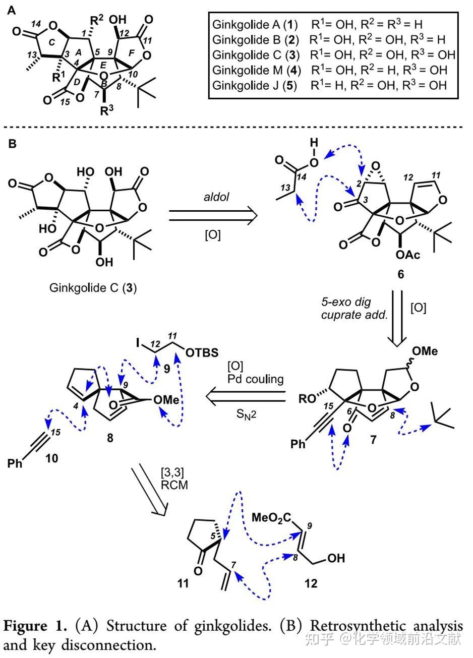 JACS：二萜Ginkgolides A-C的统一式合成 - 知乎