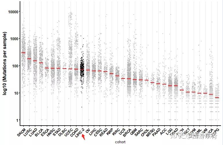 maftools|TCGA肿瘤突变数据的汇总，分析和可视化 - 知乎