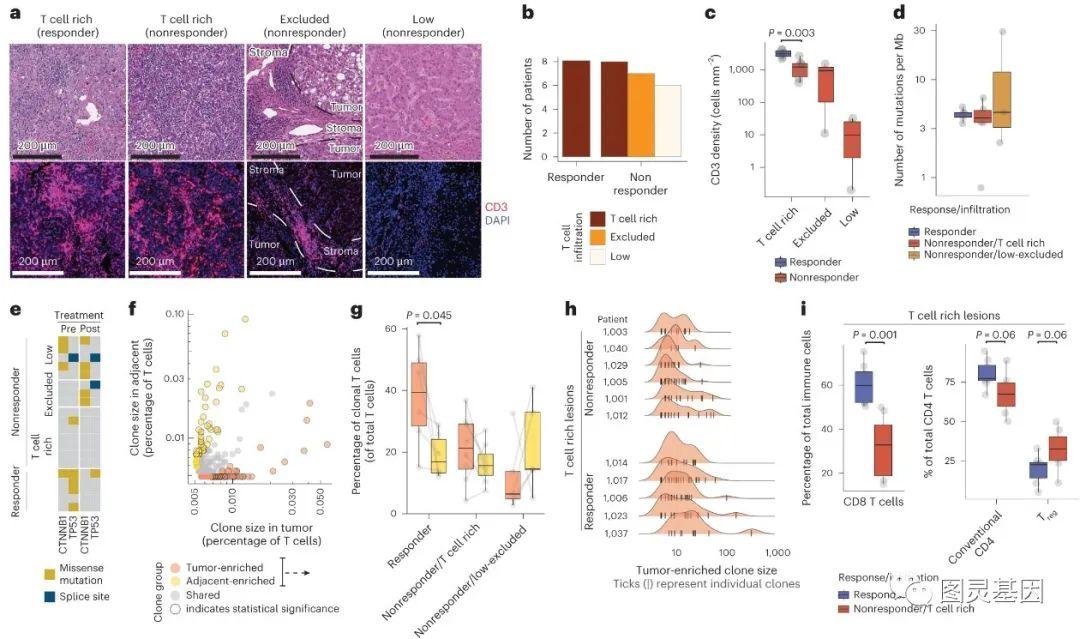 Nat Med | 美国免疫学美女院士：预测PD-1阻断疗效指征与机制 - 知乎