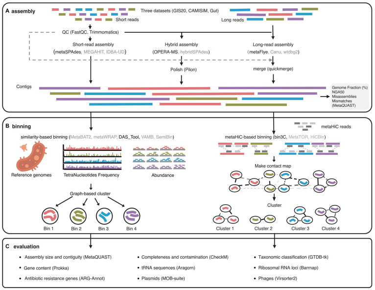 “微”宝典 -- 宏基因组组装基因组（contig binning） - 知乎