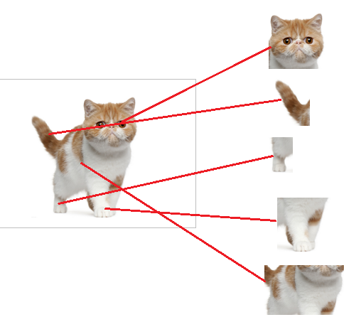 CNN 入门讲解：什么是全连接层（Fully Connected Layer）? - 知乎