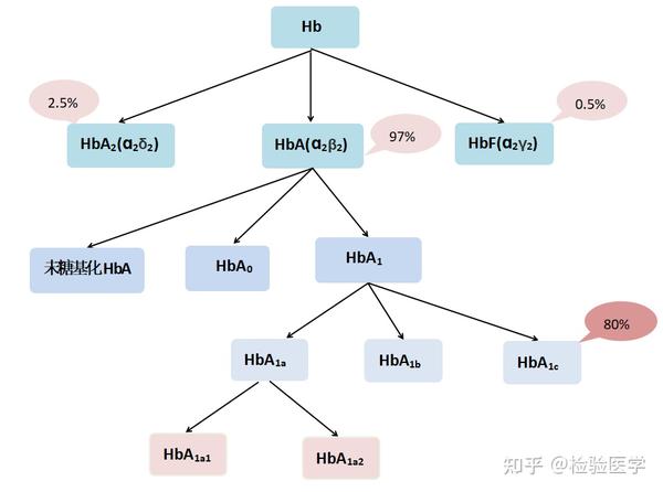 糖化血红蛋白你了解吗？ - 知乎