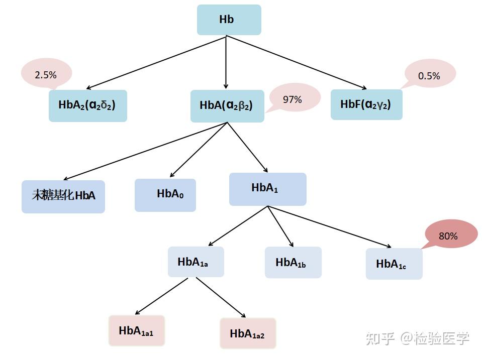 糖化血红蛋白你了解吗？ - 知乎