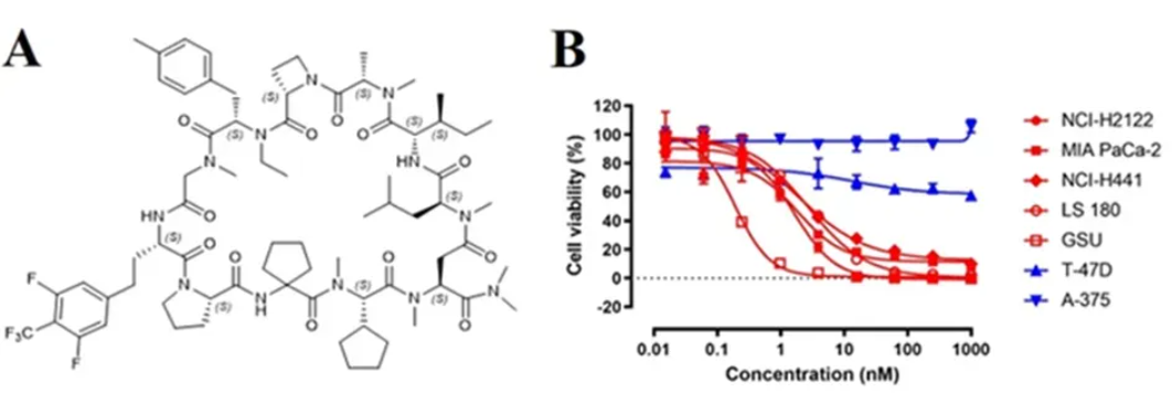 【JACS】类药环肽开发新标准 - 知乎