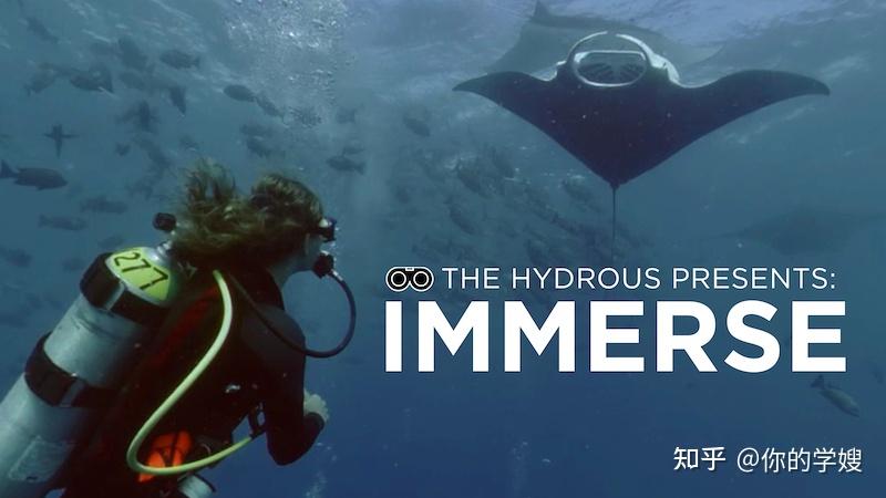 一篇文章讲透雅思核心词immerse，这个背单词软件帮你轻松记忆 - 知乎