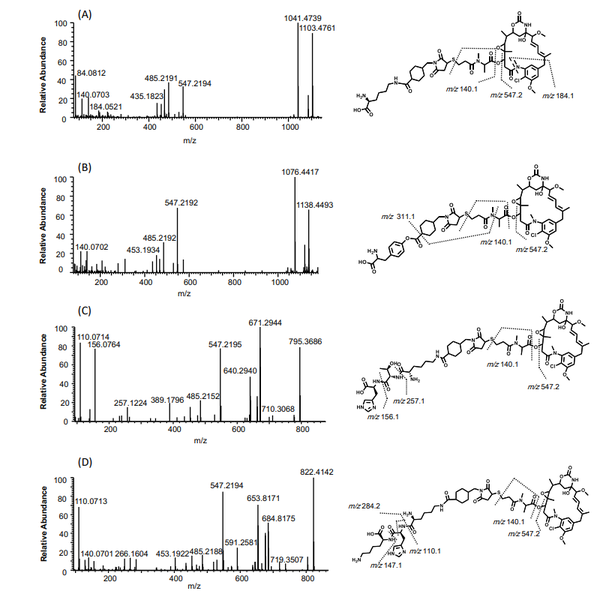 DMD期刊发表：不可裂解型ADC荷载分子相关代谢产物的质谱分析和数据处理方法 - 知乎