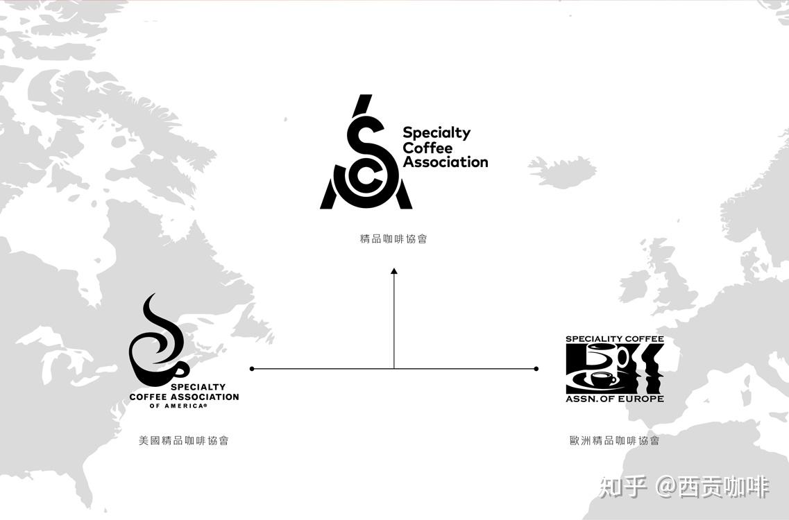 精品咖啡协会SCA，你了解多少？ - 知乎