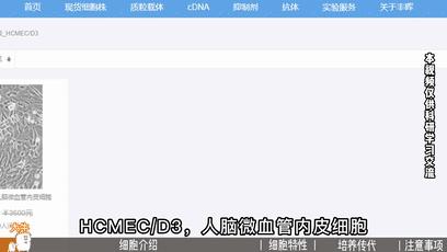 HCMEC/D3细胞培养，人脑微血管内皮细胞培养攻略-丰晖生物 - 知乎